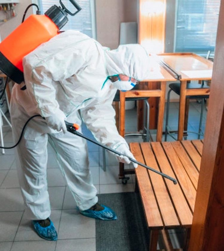 Sanitización – Sanitiplus SPA